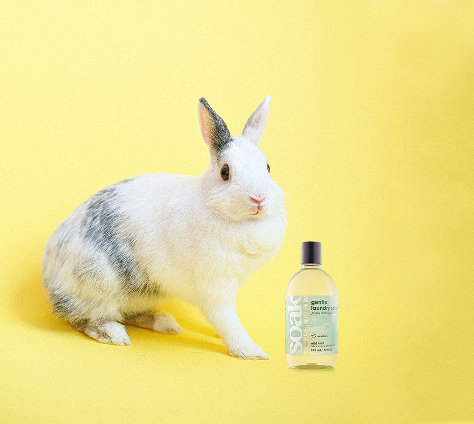 no-rinse – Soak Wash Inc. D2C-US