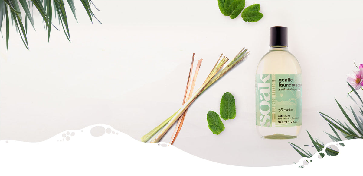 Wild Mint – Soak Wash Inc. D2C-US